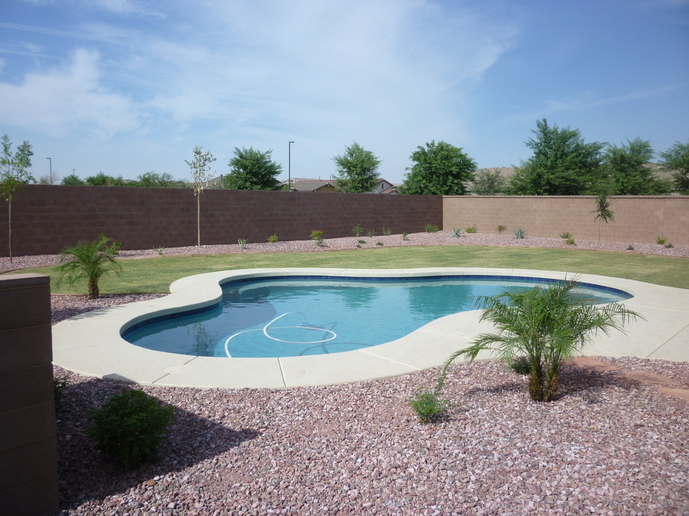 Organic Pool Form - Contemporary - Pool - Phoenix - by MTH Design Group ...
