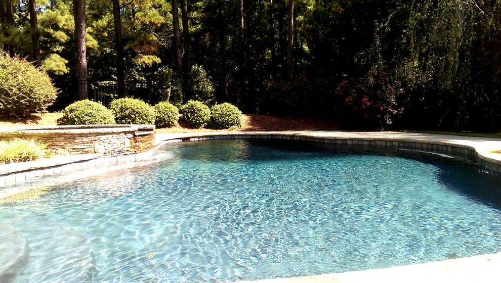 Our Clients - Traditional - Pool - Charlotte - by Sky Blue Pools | Houzz