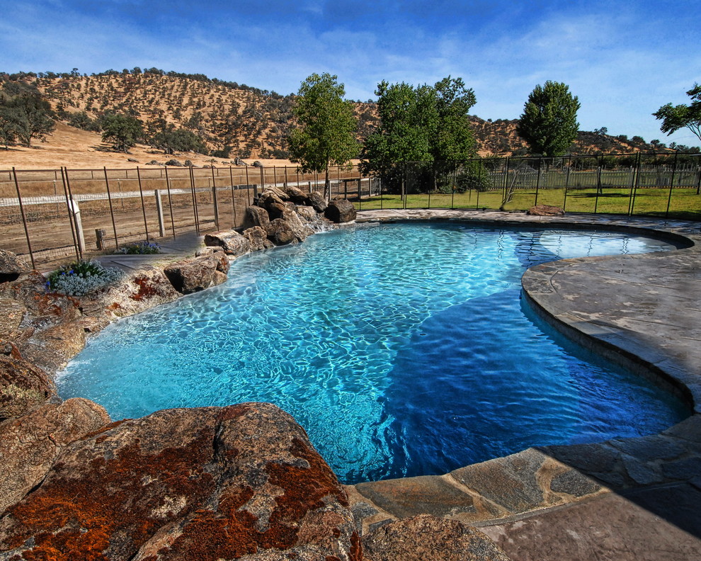 Our Projects - Traditional - Pool - Other - by Genesis Pools, Inc | Houzz