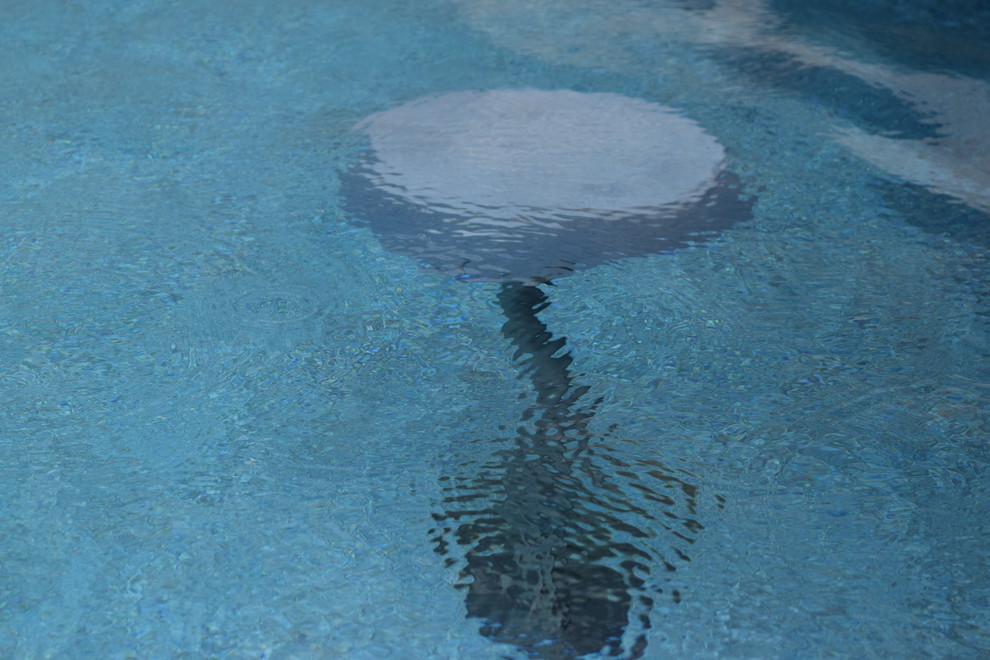 Outdoor Adventure Swimming Pool {LW} - Pool - Detroit - by Legendary ...