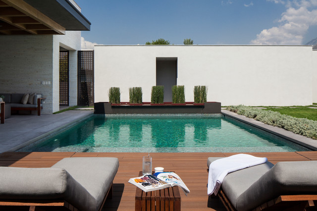 Pool Side Palapa Custom Arc Barbeque With Palapa, Tile Top, Raised