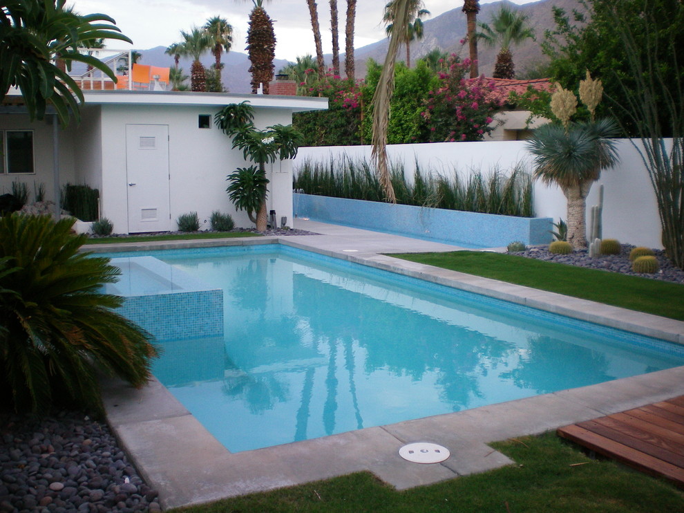 Palm Springs Pool - Modern - Pool - Los Angeles - by Imagine ...