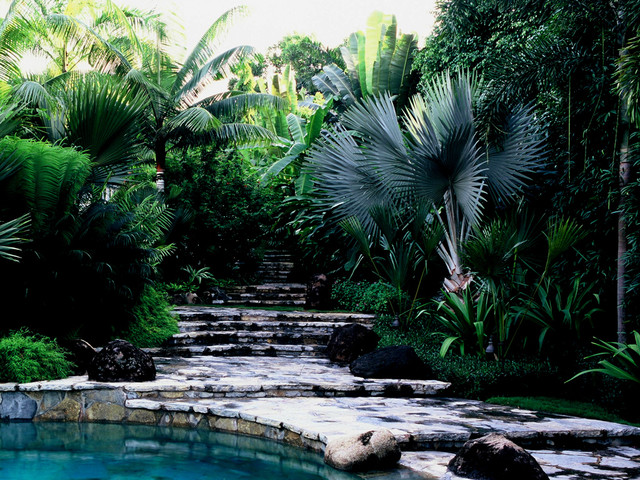 Panama Garden - Tropical - Pool - Miami - by Raymond Jungles, Inc ...