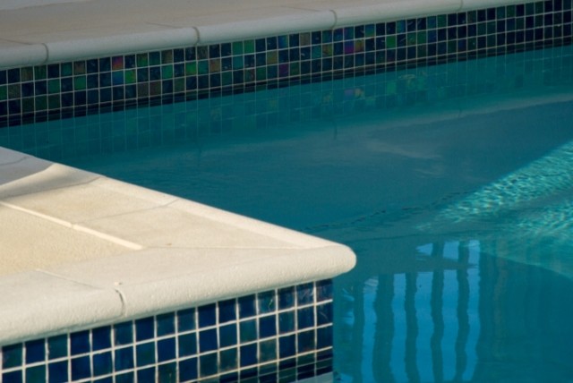 Peacock and Shell Beach Pool - Tropical - Pool - Other - by ...