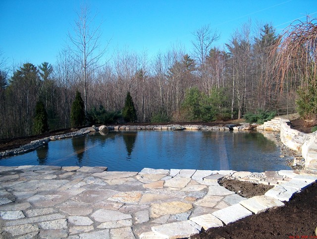 Pierce Lanucha Natural Swimming Pool - Contemporain - Piscine ...