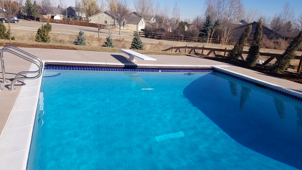 Plenty Of Playtime Pool Denver By Aquality Construction Houzz