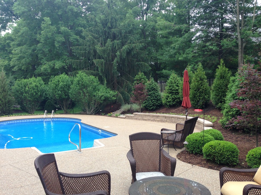 Pool & Back Yard Renovation - Klassisch - Pools - St. Louis - von ...