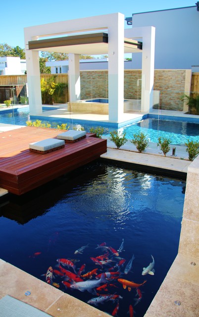 Pool Designs - Contemporary - Pool - Sydney - by Aspect Designs | Houzz AU