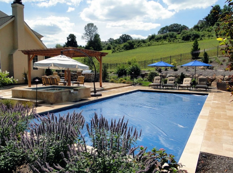 Pool planting - Traditional - Pool - Philadelphia - by Cider Mill ...