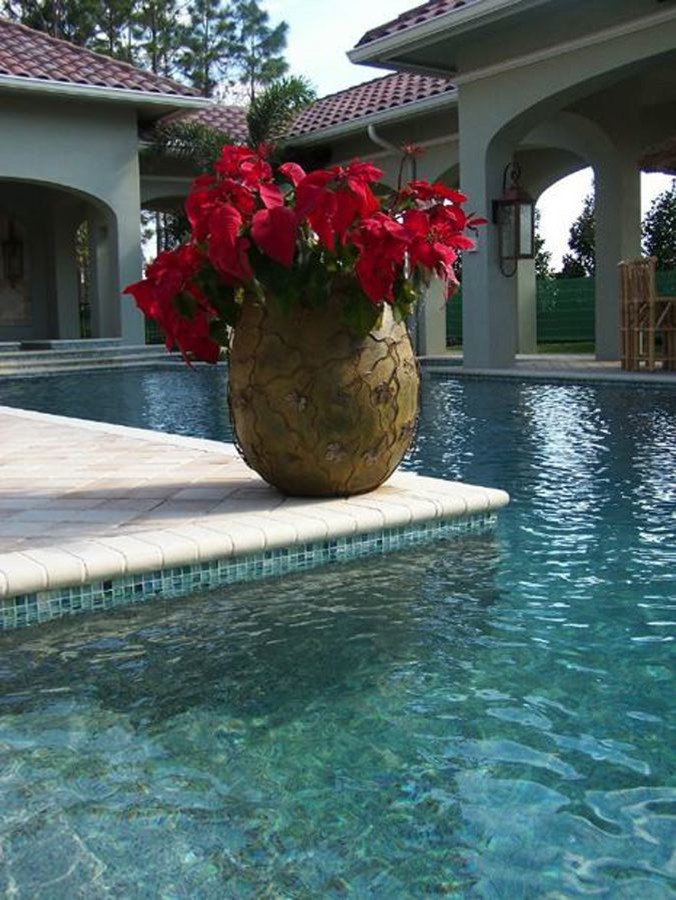 Pools - Traditional - Pool - New York - by Fiorano Tile Showrooms | Houzz