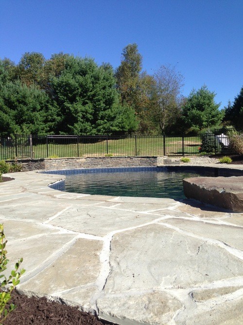 Poolscapes - Contemporary - Pool - New York - by The Amendola Group ...