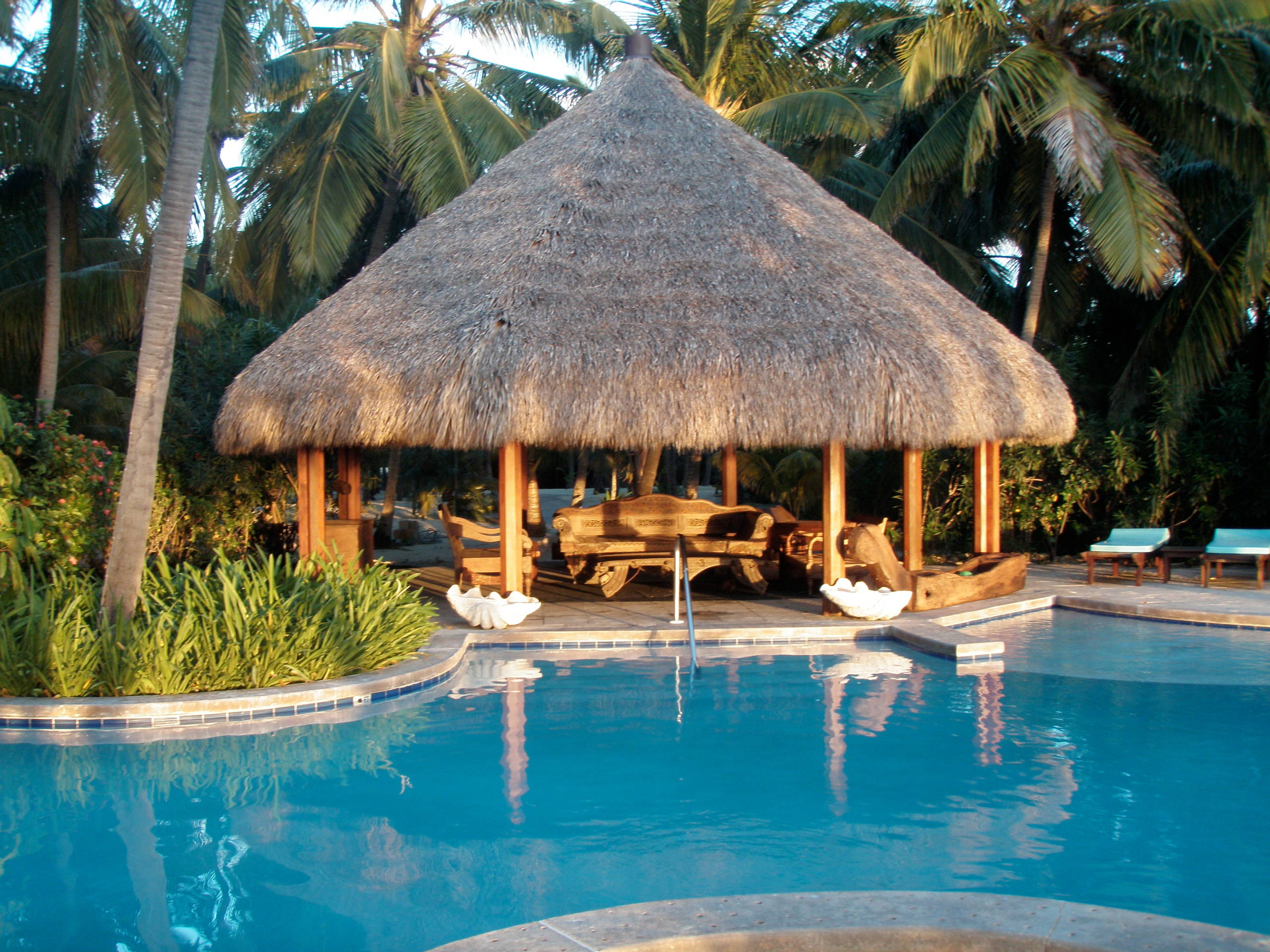 Tiki Hut Decoration Ideas | Shelly Lighting