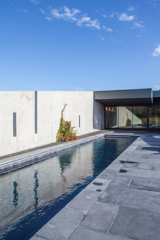 Port Hope - Modern - Pool - Other - by BonaVista Pools | Houzz