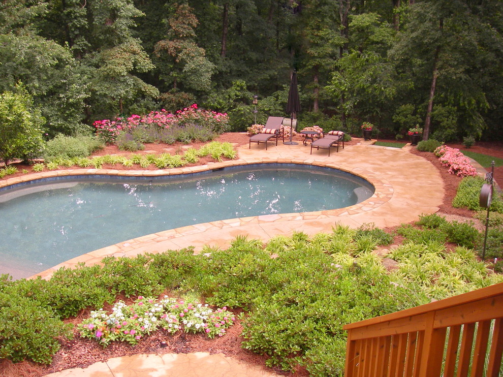 Relax on the sunny side of the pool deck and enjoy the roses ...