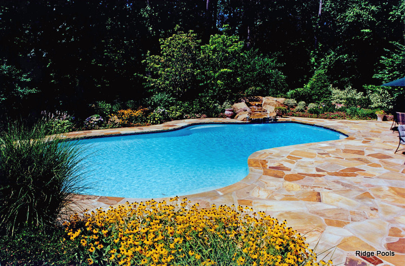 Ridge Pools Idea Book - Pool - New York - by Ridge Pools | Houzz