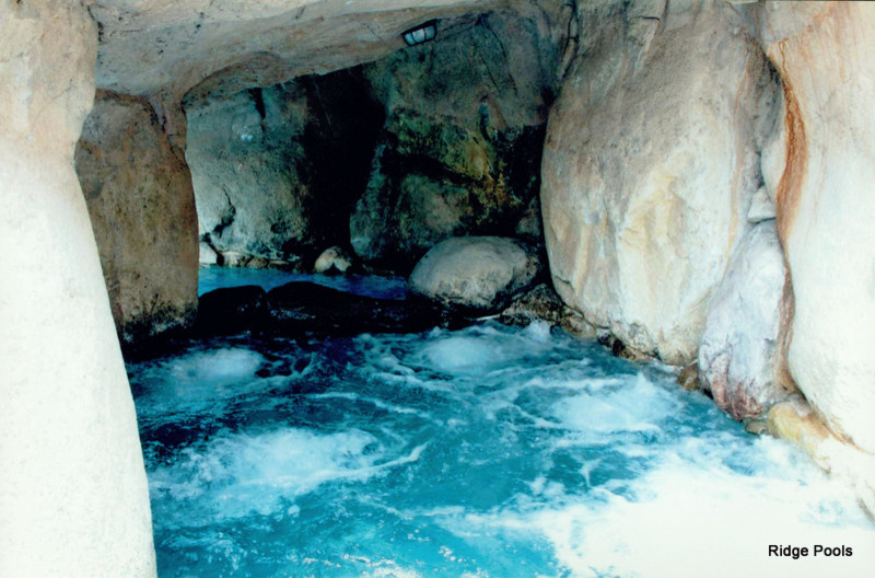 Ridge Pools Idea Book - Pool - New York - by Ridge Pools | Houzz