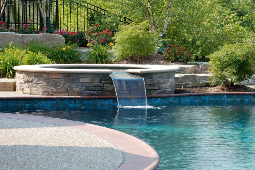 Rochester HIlls Freeform Pool - Traditional - Pool - Detroit - by ...