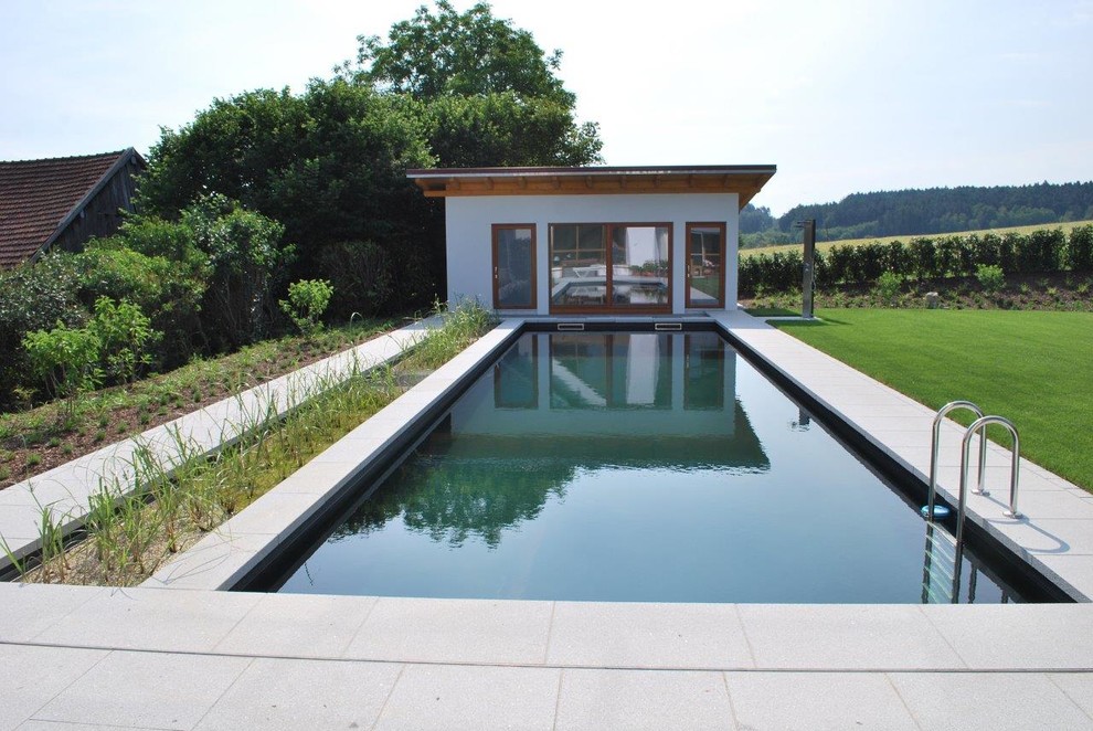 Schwimmteich - Modern - Pools - Sonstige - von Garten- und Landschaftsbau Pohl GmbH | Houzz