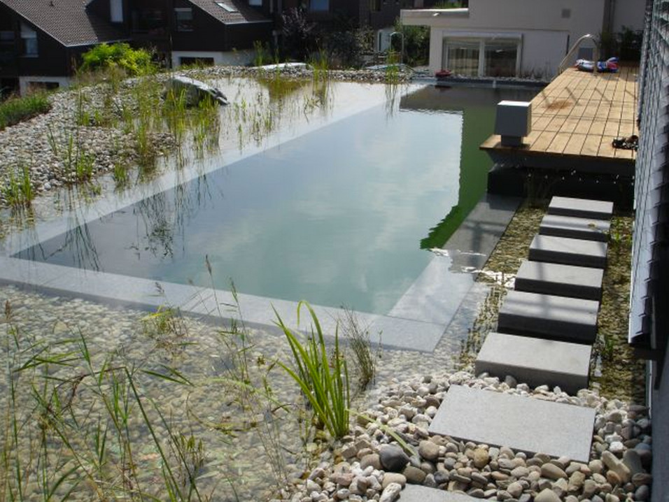 Schwimmteich und Garten - Modern - Pools - Stuttgart - von Rigon & Littmann | Houzz