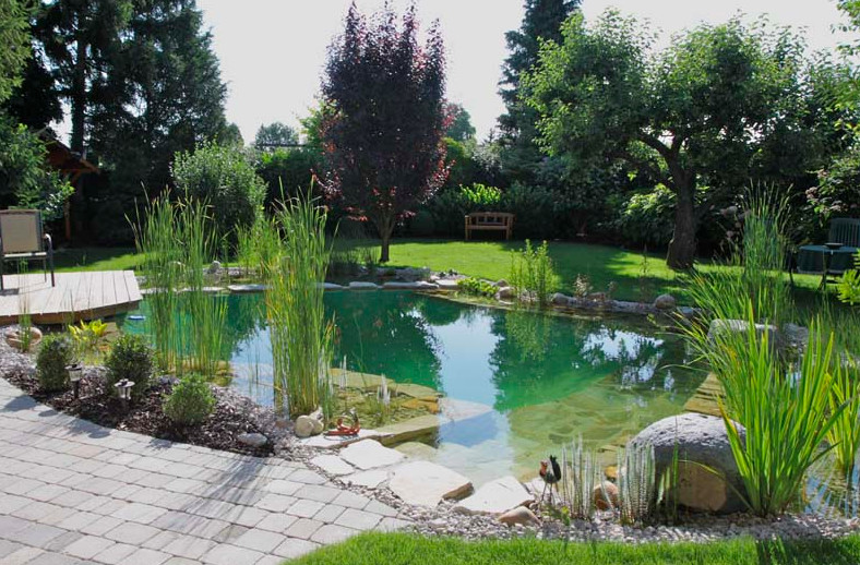 Schwimmteiche, Naturteiche, Bachläufe, Wasserspiele - Pool - Other - by ...