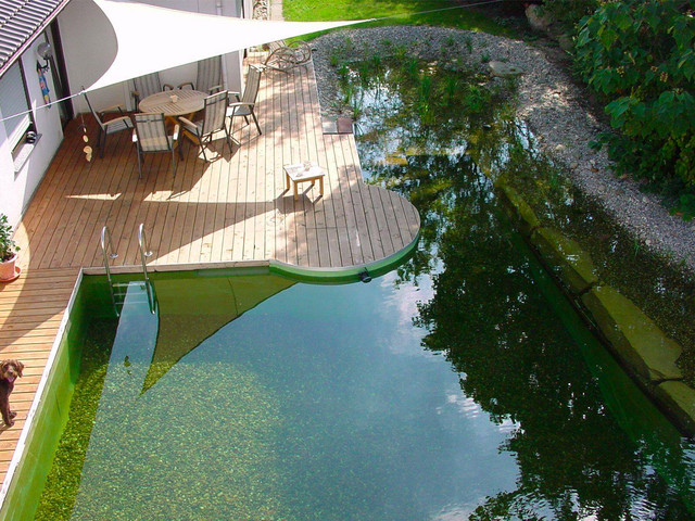 Schwimmteiche & Pools 6 - Contemporáneo - Piscina - Otras zonas - de AquaNatur Schwimmteiche ...