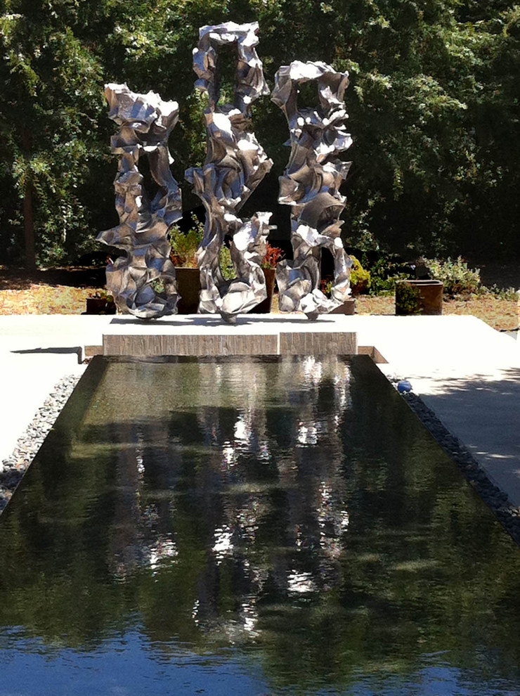 Sculpture Installation - Modern - Pool - Sacramento - by Bennett Binns ...
