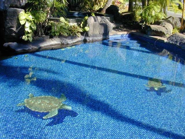 Sea Turtle Pool Tile Design for Paul Mitchell estate, Thank you Angus ...