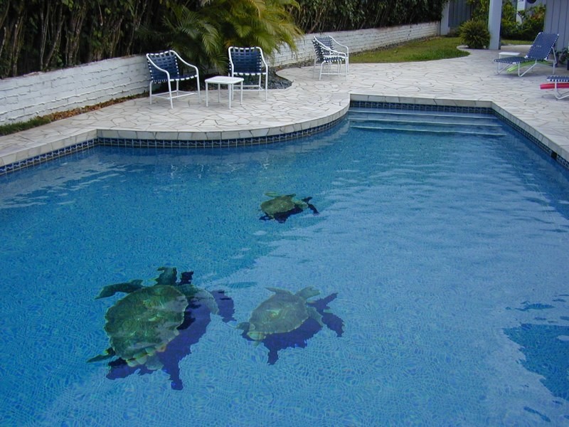 Sea Turtle Pool Tile Design - Pool - Hawaii - by Vogland.com LLC | Houzz