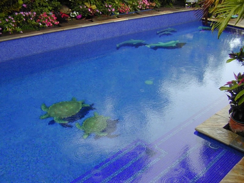 Sea Turtle Pool Tile Design - Pool - Hawaii - by Vogland.com LLC | Houzz