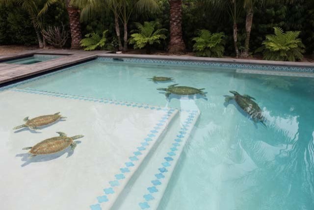 Sea Turtle Pool Tile Design - Pool - Hawaii - by Vogland.com LLC | Houzz