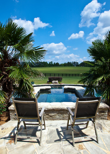 Serene Pool & Elevated Spa - Classique - Piscine - Autres périmètres ...