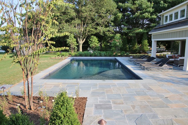 Simple In Ground Pool - Classique - Piscine - Baltimore - par Elite ...