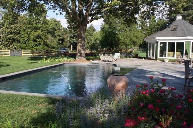 Simple Inground Pool - Traditional - Pool - Baltimore - by Elite Pools ...