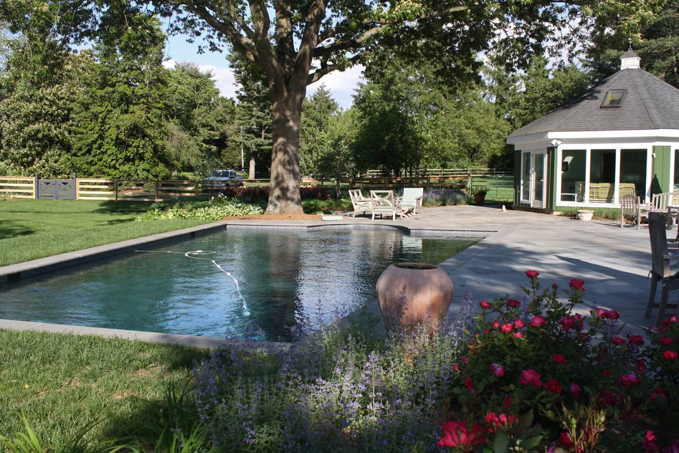 Simple Inground Pool - Traditional - Pool - Baltimore - by Elite Pools ...