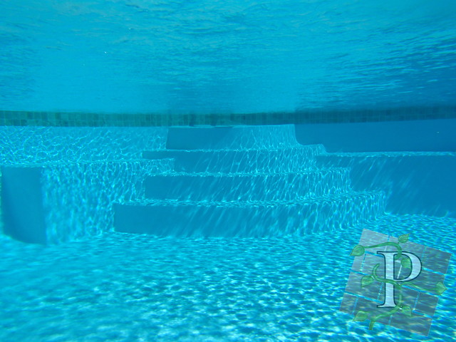 Simplicity in Design - Traditional - Pool - New York - by Platinum Site ...