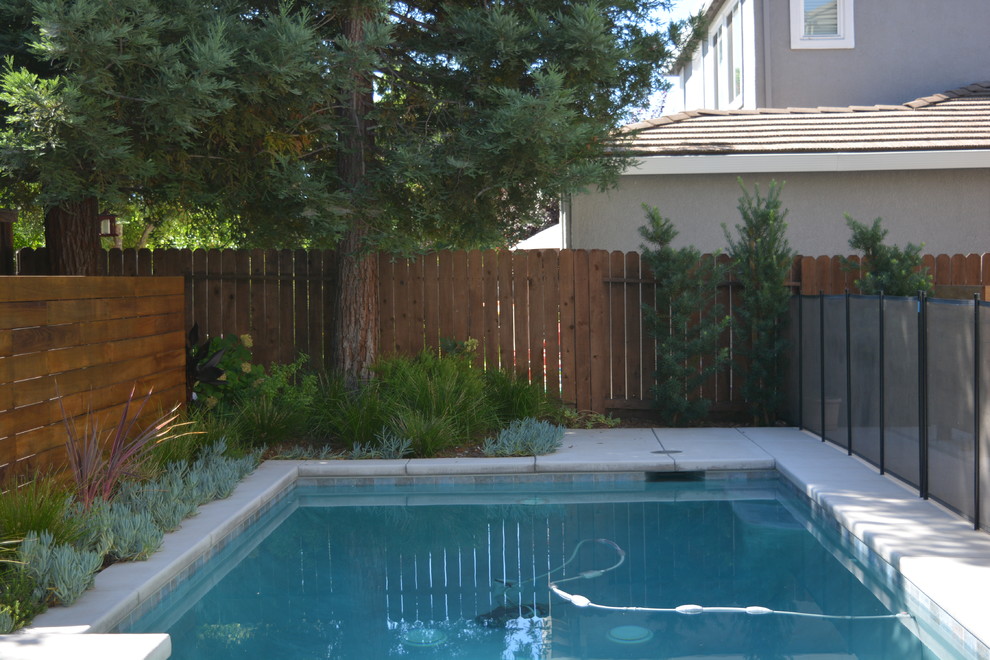 Small Modern Pool - Contemporary - Pool - Sacramento - by Geremia Pools ...