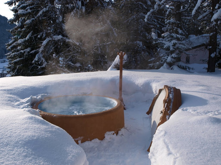 Softub Canada Portfolio - Pool - Toronto - by Softub Canada | Houzz