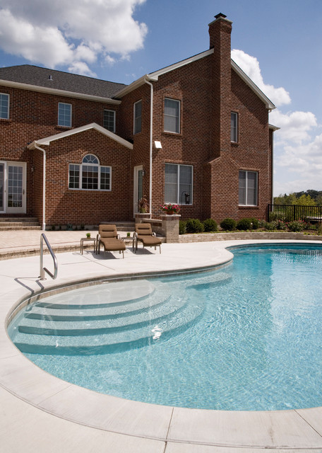 South Barrington Pool and Raised Spa - Traditional - Swimming Pool ...