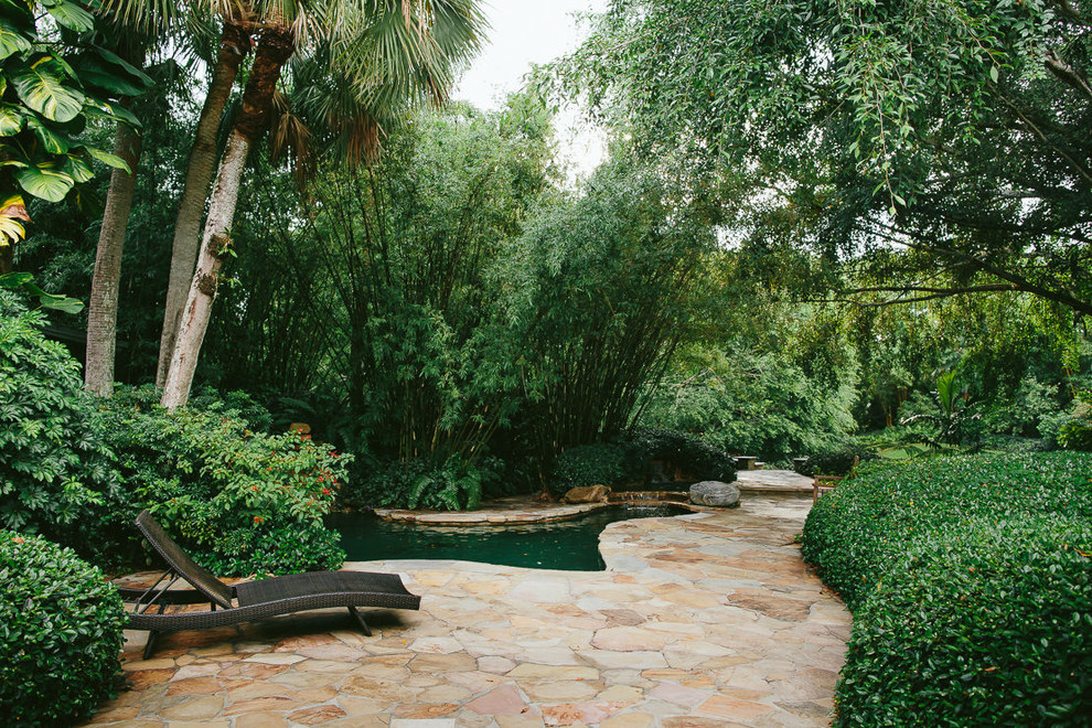 South Florida Rainforest - Tropical - Pool - Miami - by Zito Landscape ...