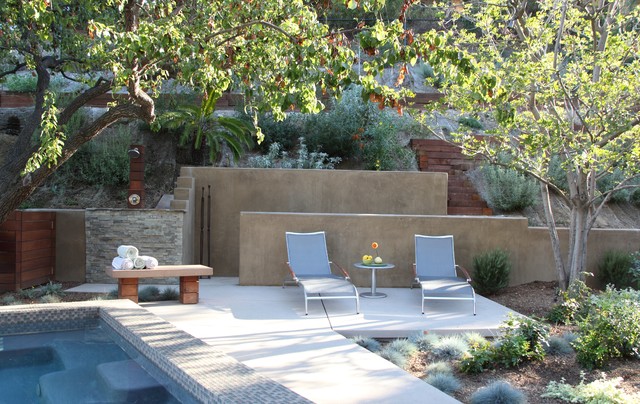 Spool with Insta-Hot Shower and Retaining Wall - Contemporary - Pools ...