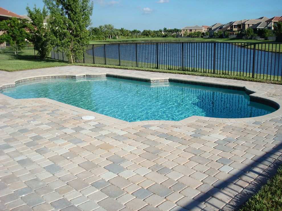 Standard Pool Shapes - Traditional - Pool - Miami - by User | Houzz
