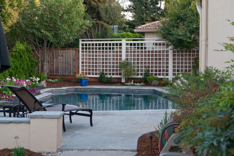 Sullivan swimming pool remodel - Traditional - Pool - San Francisco ...