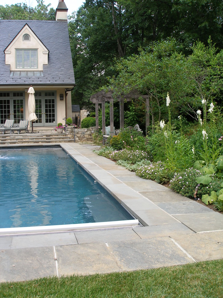 Summer's Garden - Traditional - Pool - DC Metro - by Wheat's Landscape ...