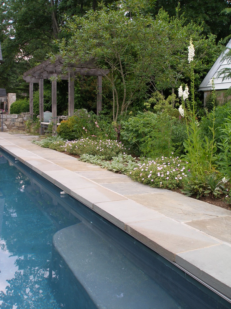 Summer's Garden - Traditional - Pool - DC Metro - by Wheat's Landscape ...