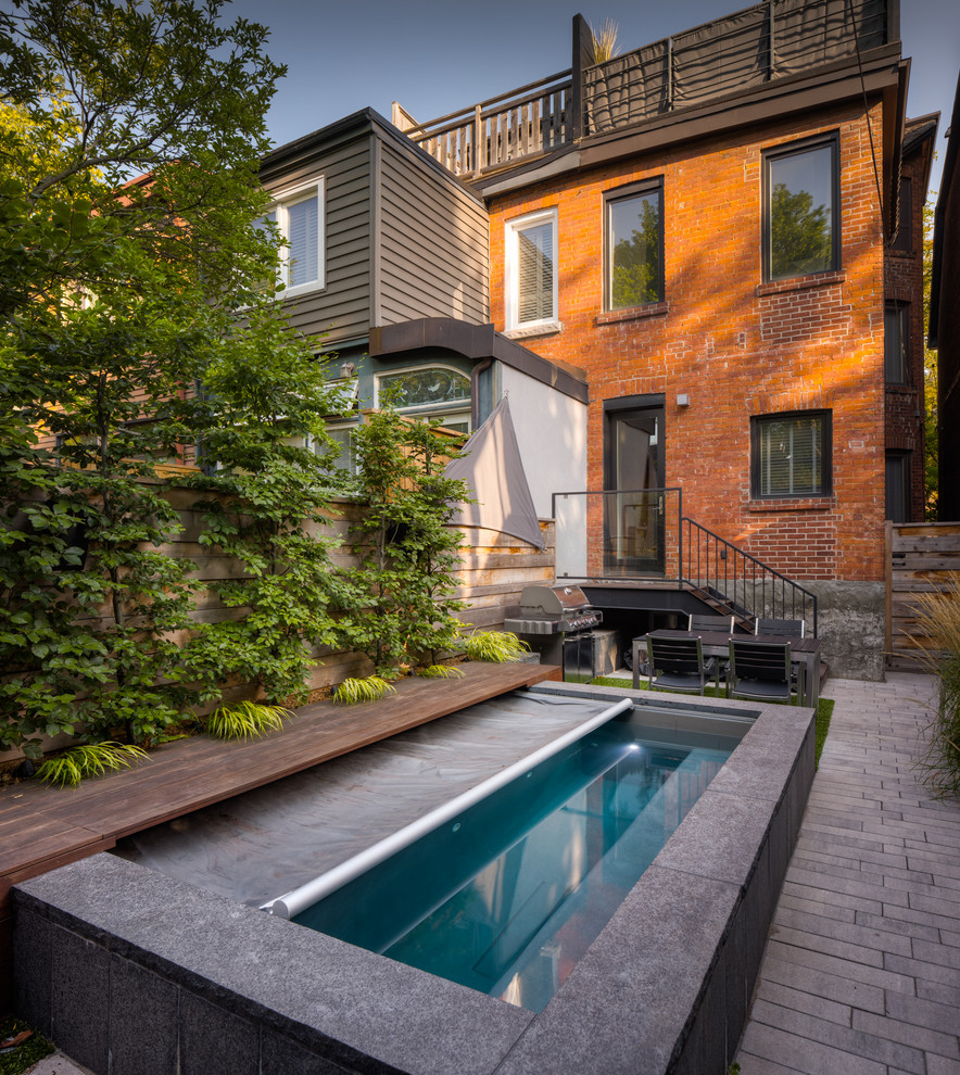 Summerhill Surprise - Contemporary - Pool - Toronto - by User | Houzz