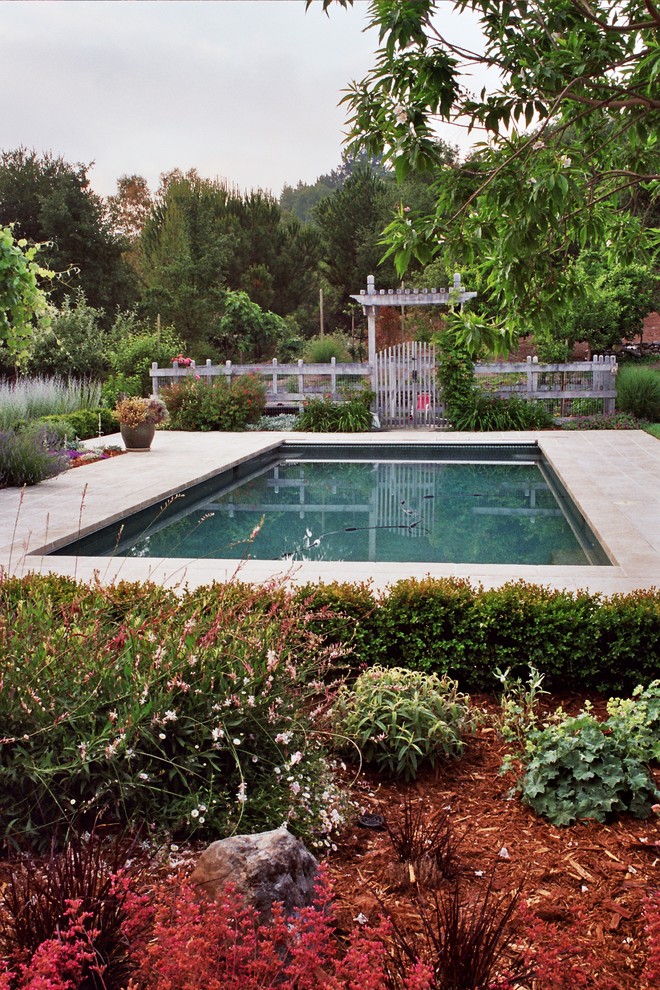 SWIM - Modern - Pool - San Francisco - by J. Montgomery Designs, Inc ...