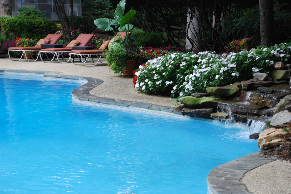 Swimming Pool - Tropical - Pool - DC Metro | Houzz
