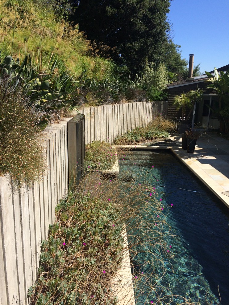 Swimming pool with fountain - Pool - San Francisco - by Kirby's Pools ...