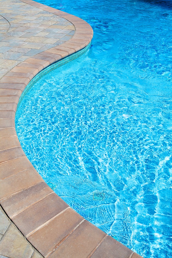 The Fire Hydrant Pool - Traditional - Pool - Philadelphia - by Blue ...