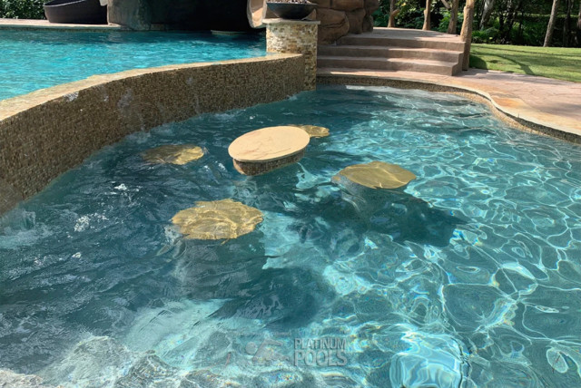The Glasscock Family Oasis -$200,000+ - Pool - by Platinum Pools | Houzz AU